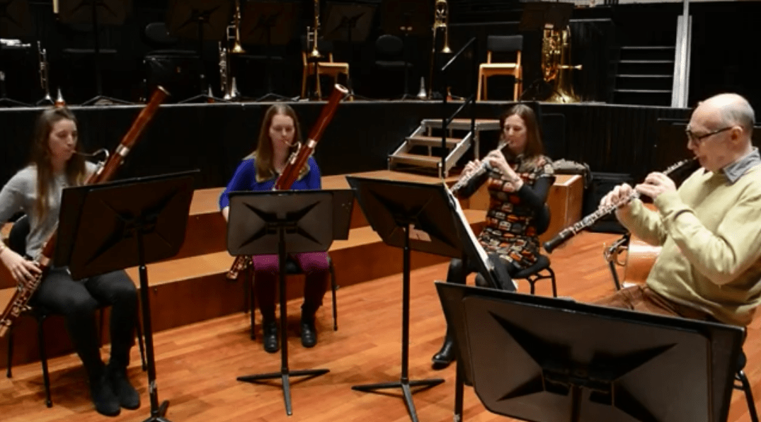 Double reed day, a taster!